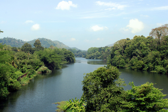 Tourist Attraction India: Munnar : Lake and River View