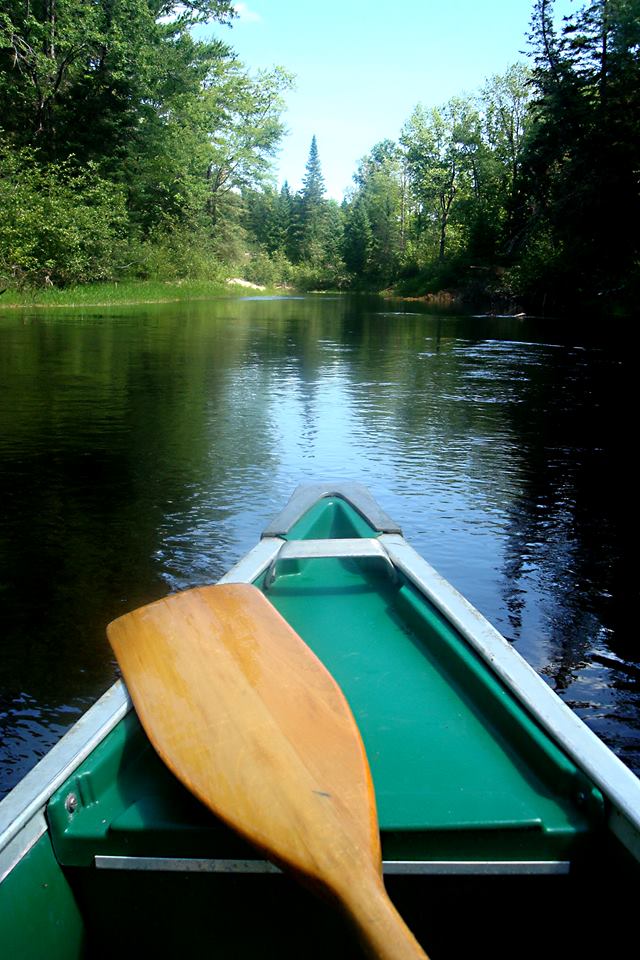 Pixie Hill: August 2017