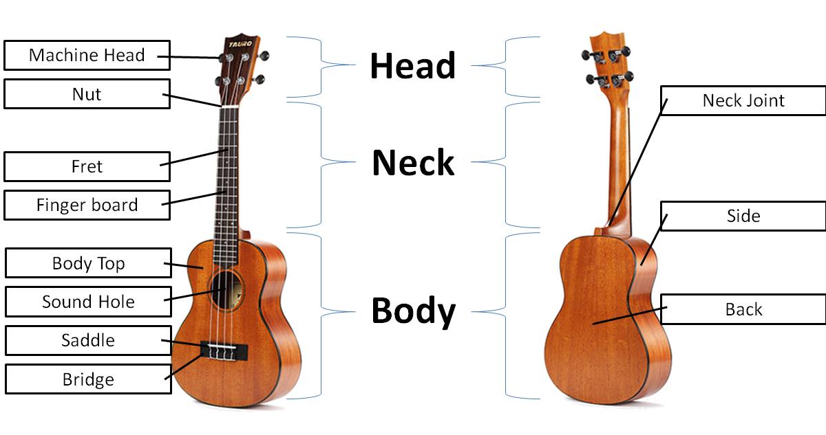 How to Choose Ukulele In Malaysia | Buying Guide How to Choose Ukulele In Malaysia | Buying Guide