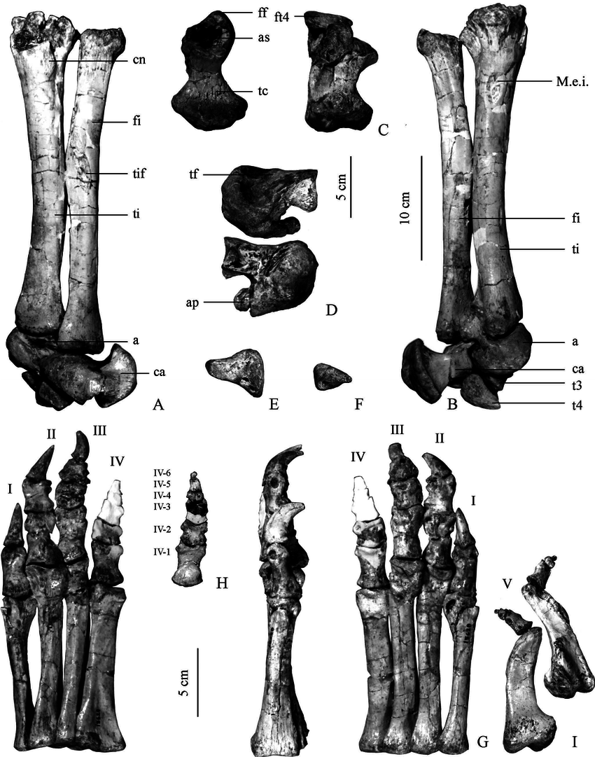 Prehistoric Beast of the Week: Postosuchus: Beast of the Week