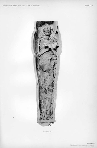 Egipto en imagenes: Momia Ramses II