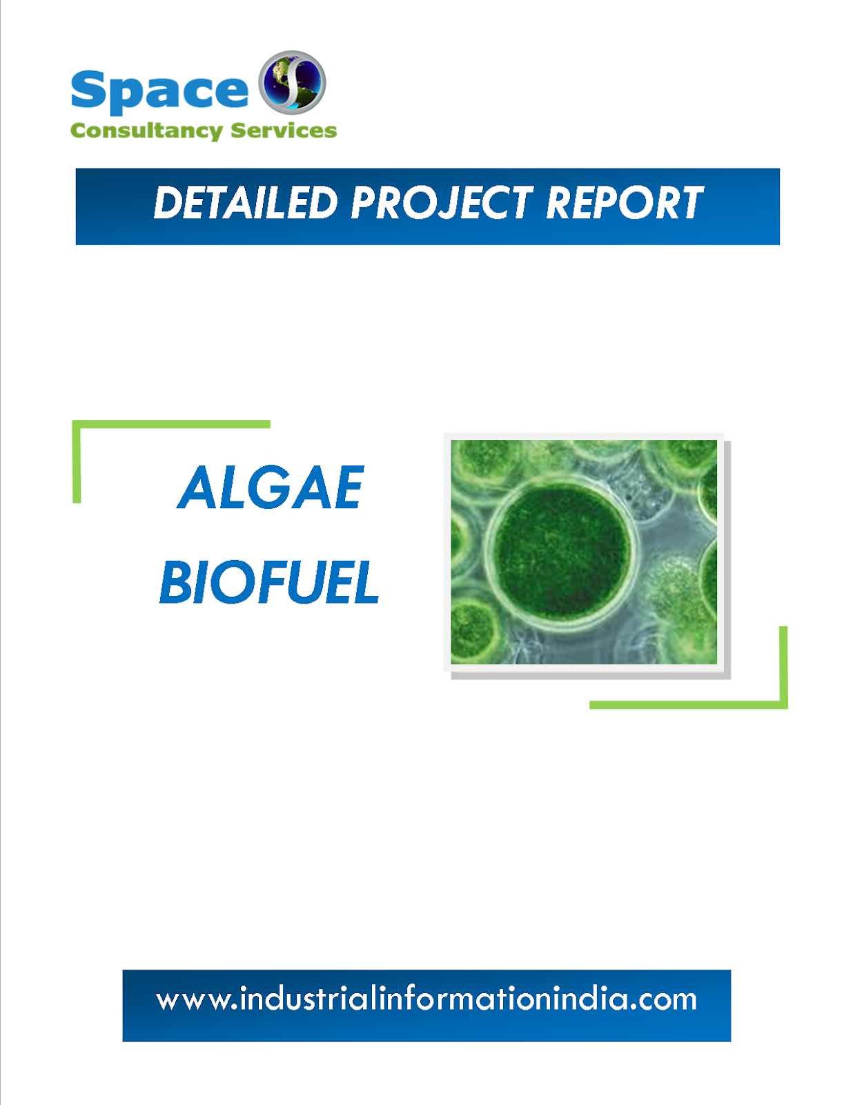Algae Biofuel Project Report - Space Consultancy Services