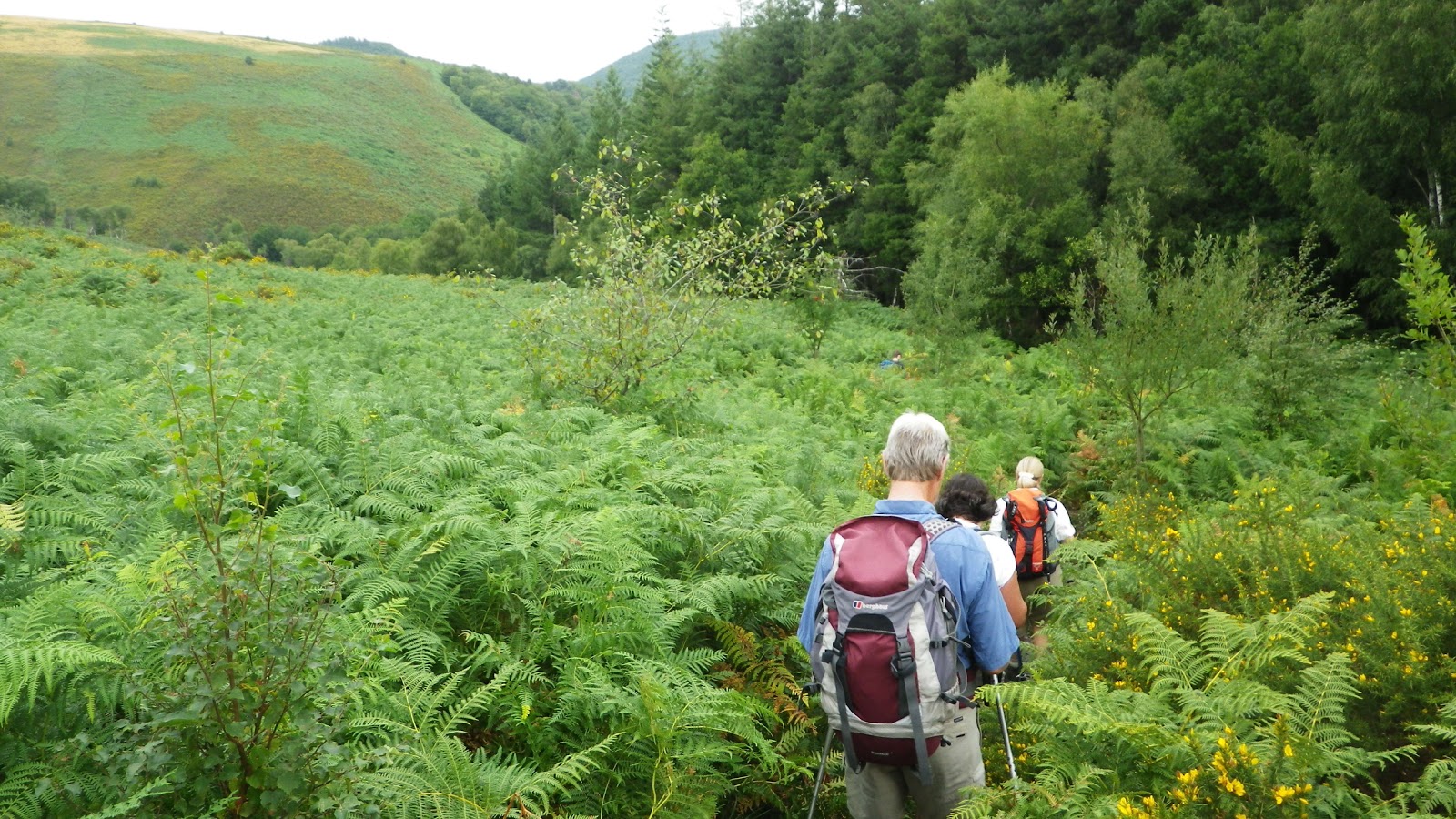 My Dartmoor Walks: Tuesday 3rd September The Templar Way
