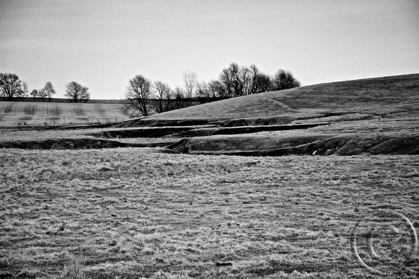 Monte's Creative Images: Black And White Countryside