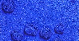 Cristina del Rosso: El azul Klein es el azul del cielo