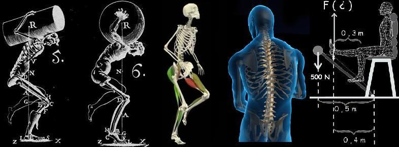 BIOMECANICA - Mind Map