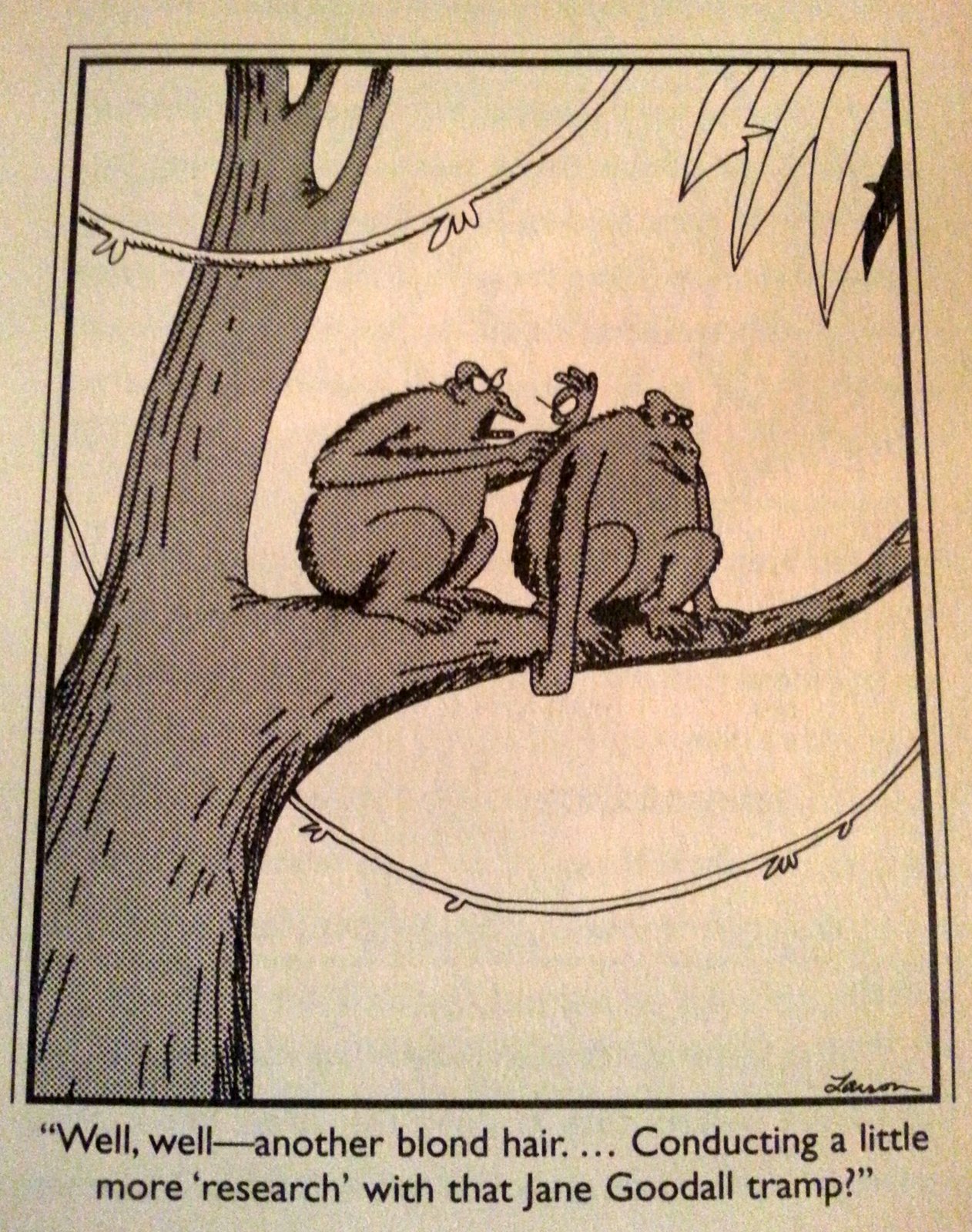 My tribute to Gary Larson - Travel & Things