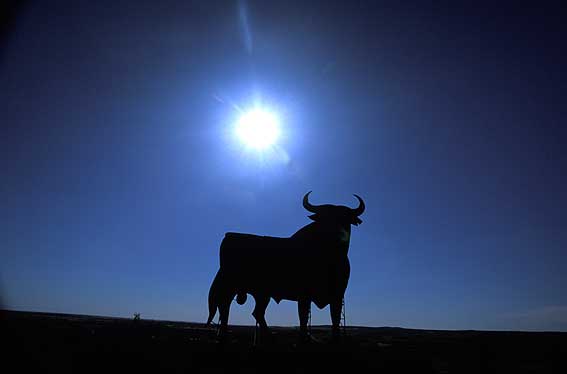 DETOROS Y MAS: Los toros, compenente de la marca "España"
