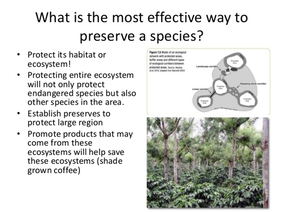 Science7: Semester 1 Chapter 3 Living Things in their Envoirnment