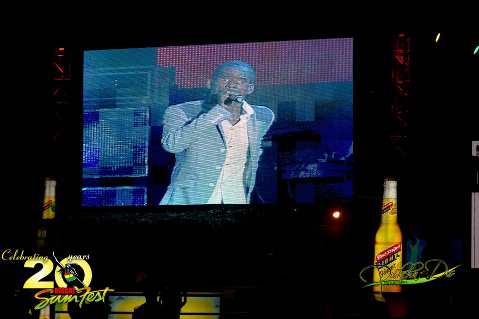 The Dynamic Biz: PHOTOS : Highlight photos from sumfest "dancehall night"