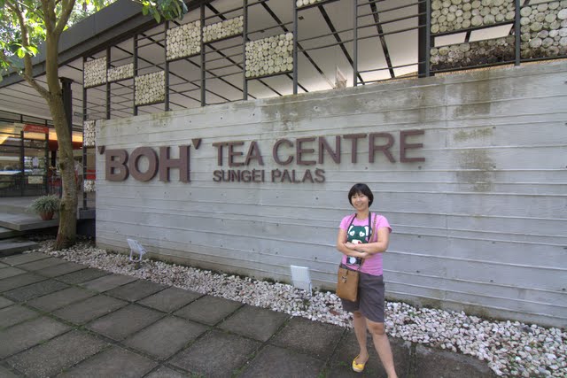 Cissy ~ 嘻咪录: 绿悠悠金马伦 - Tea BOH Center, Sungei Palas (Part 3)