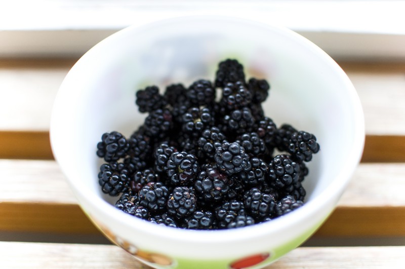 Moj svet kuhanja in priprave sladic: Robide, zajtrk prvakov in osji pajek