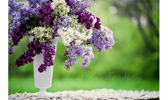 Female Photographers of Etsy: Springtime Challenge: Part Two!