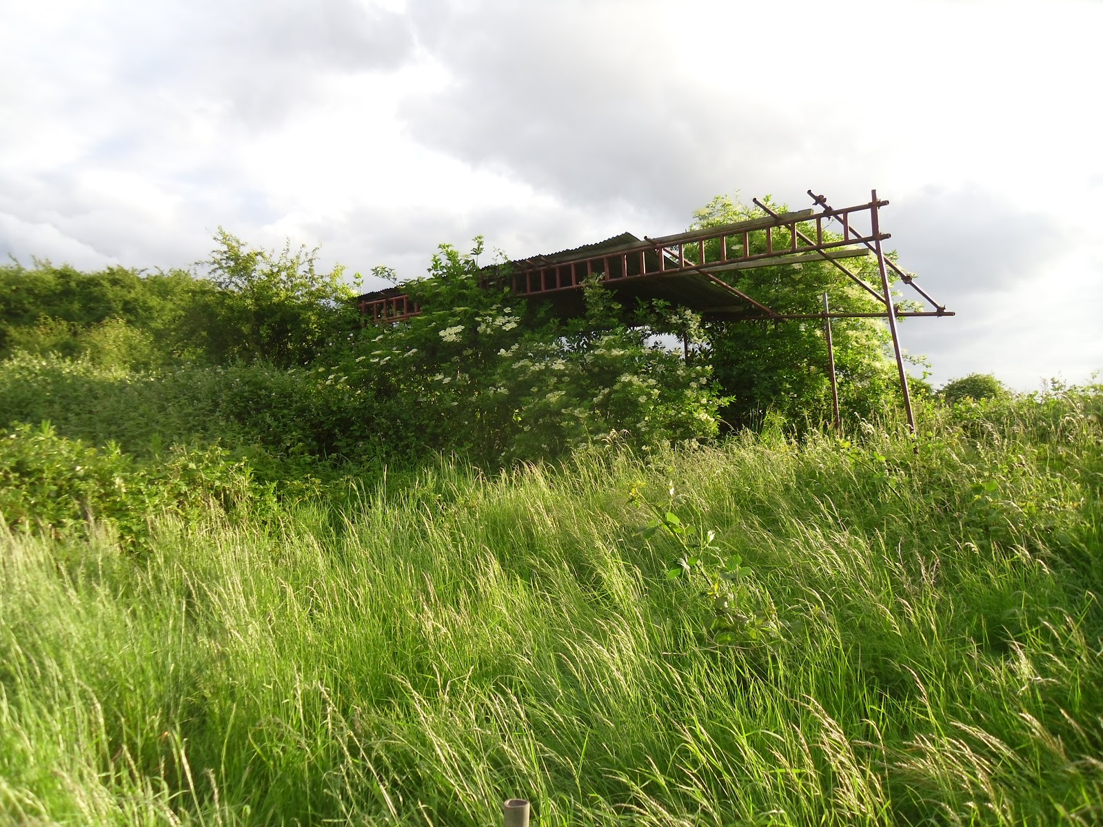 The Cold End: THE HISTORY OF FOOTBALL IN CHINGFORD - CHINGFORD FC v ...