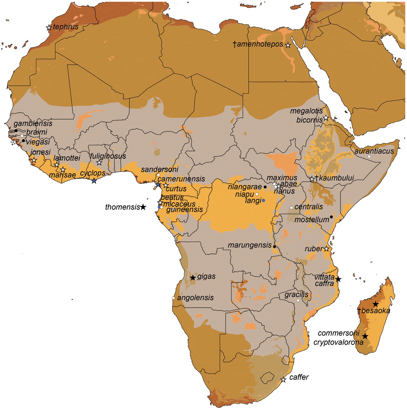 Species New to Science: [Mammalogy • 2020] Evolutionary Relationships ...