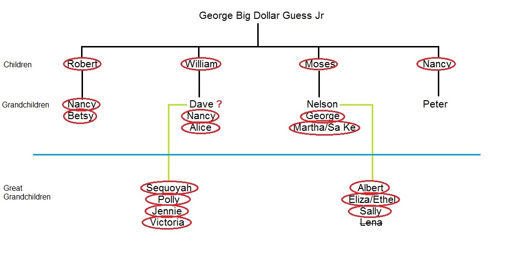 Thoughts from Polly's Granddaughter: The Orphan Tree: The Lineage of a ...