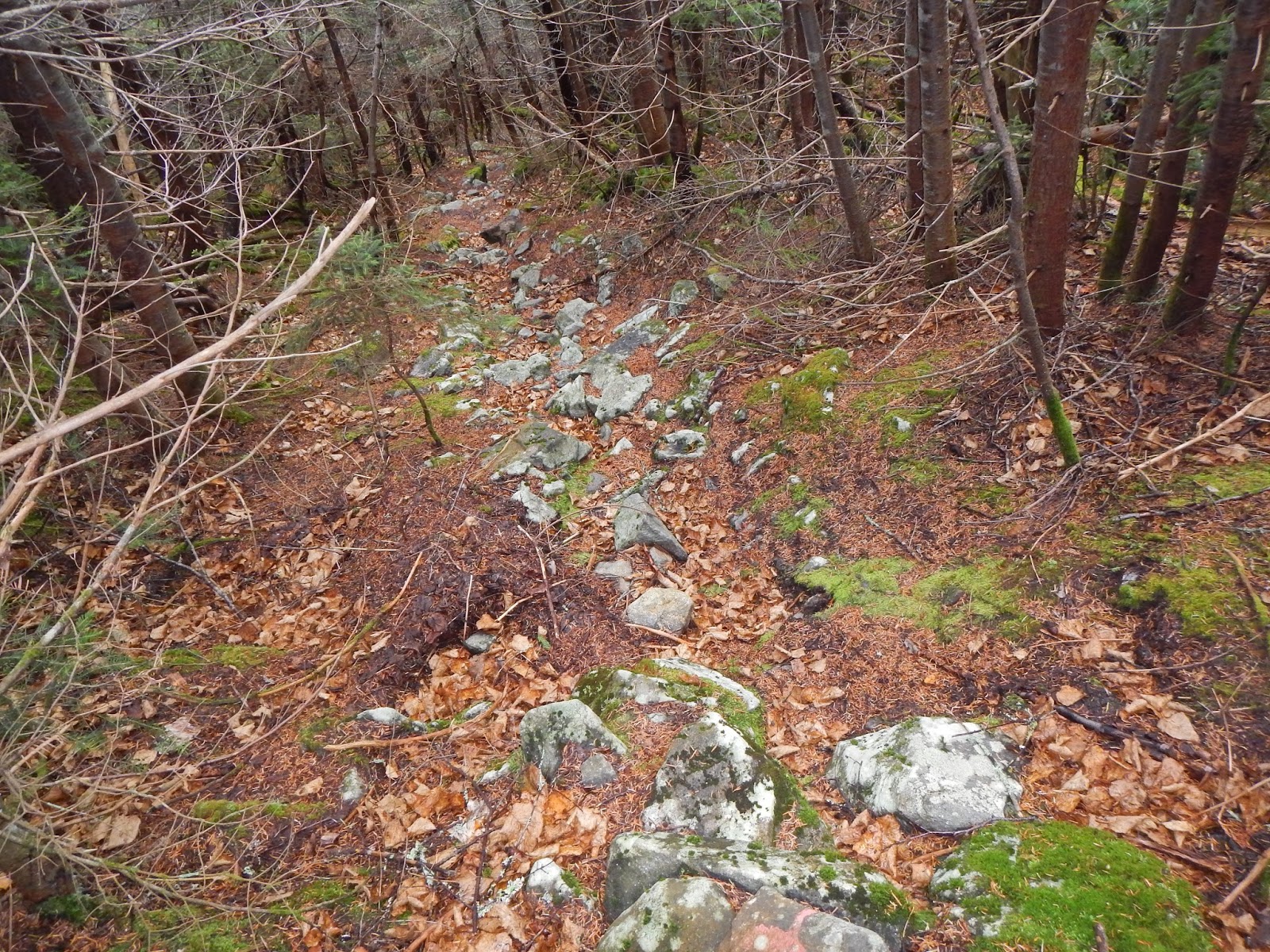 Hitting the Trails: 10/20/2013-10/21/2013 Mount Adams and The Great Gulf