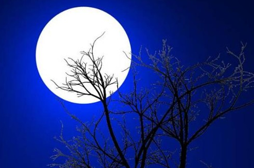 15 Fakta Menarik Tentang Bulan - News & Tips