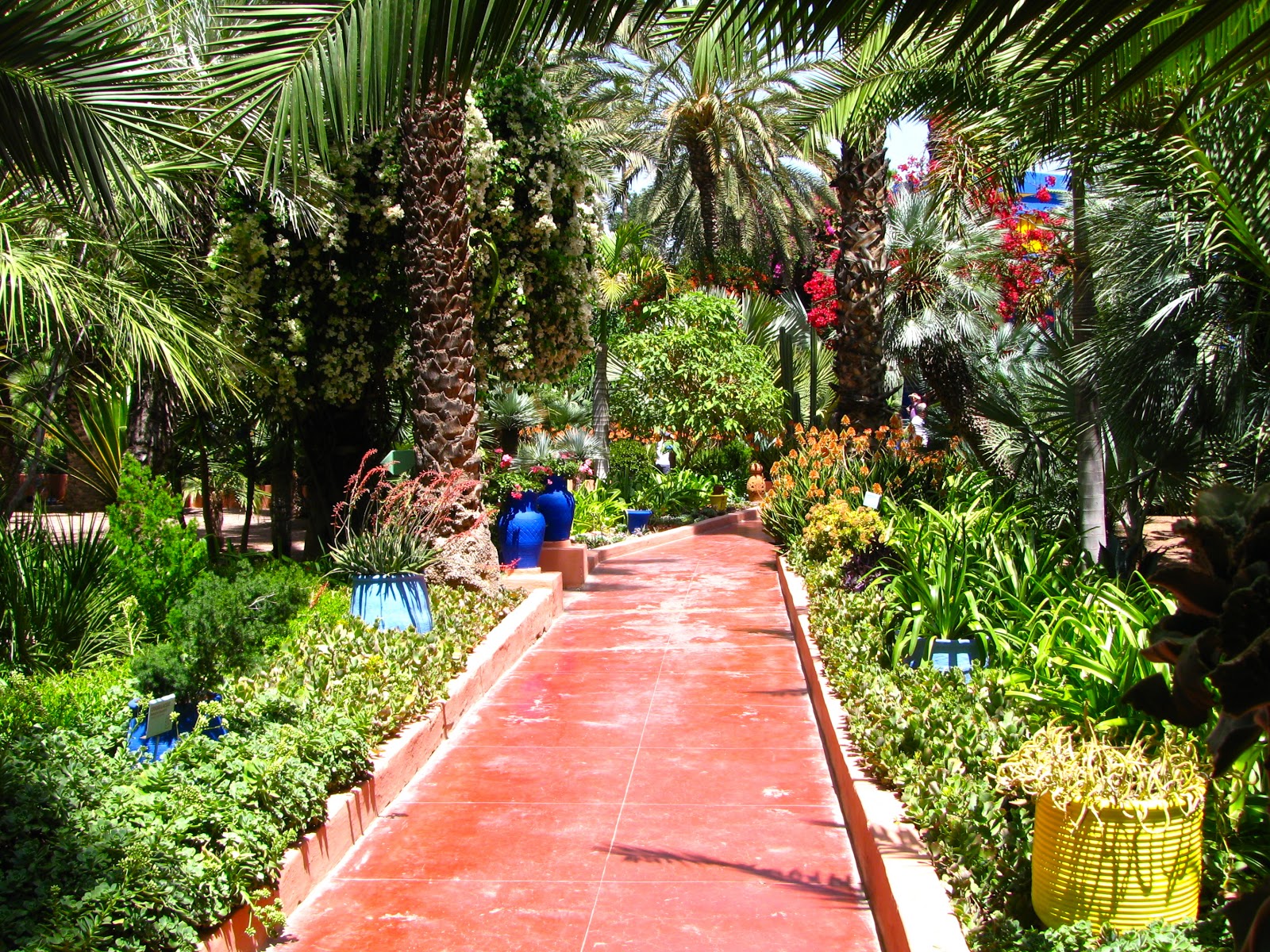 Viva la Voyage: Marjorelle Garden in Marrakech, Morocco