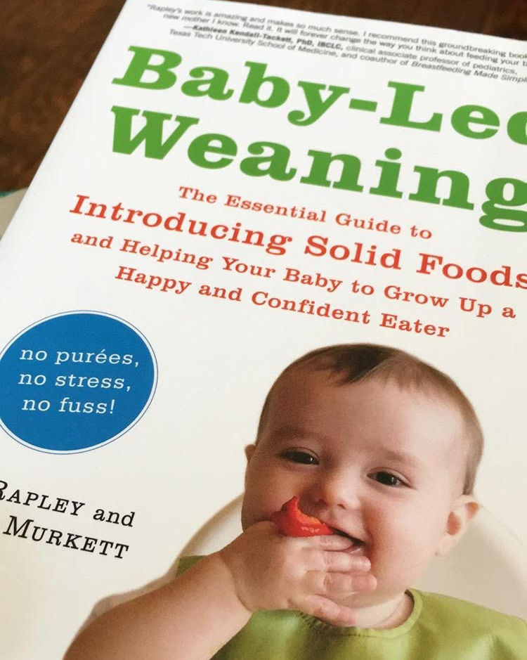 stormieariel: Baby-Led Weaning + 6 Month Update