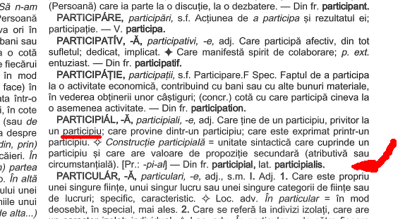 Puțină gramatică: participiu