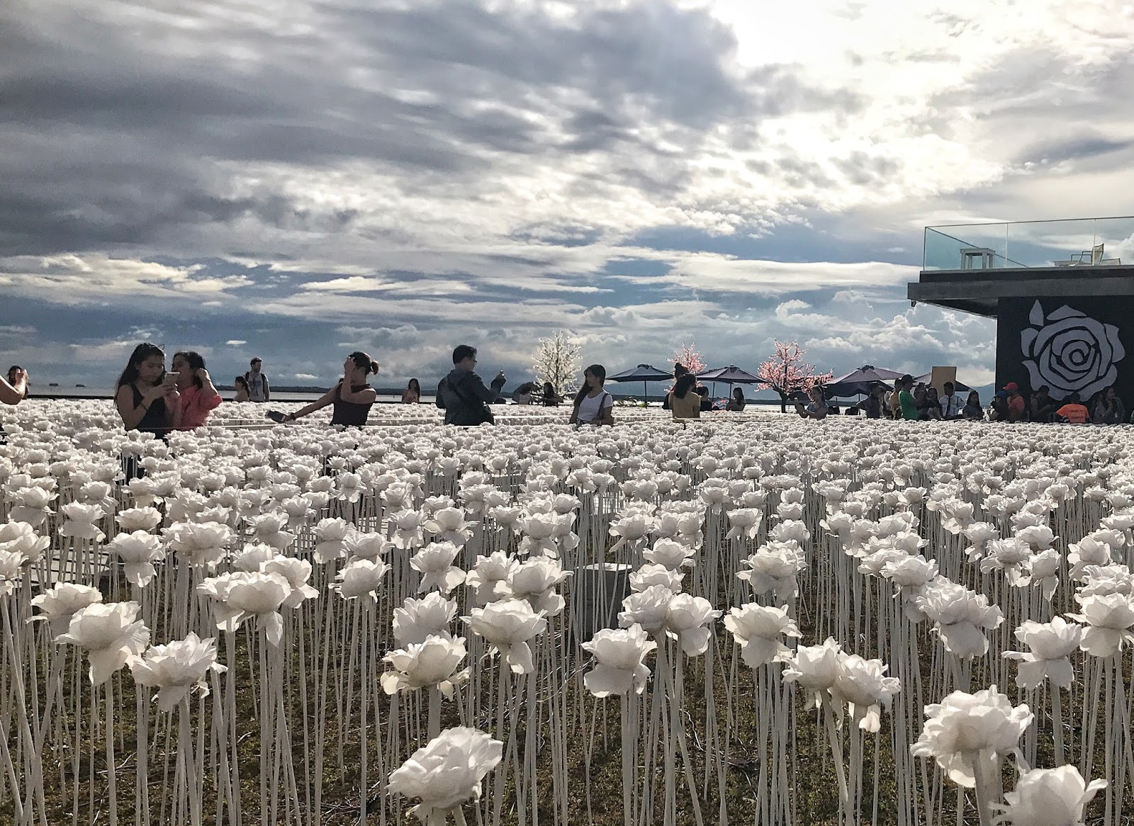 What Mary Loves: When in Cebu: 10,000 Roses Café