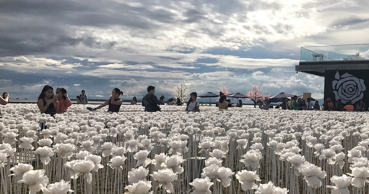 What Mary Loves: When in Cebu: 10,000 Roses Café