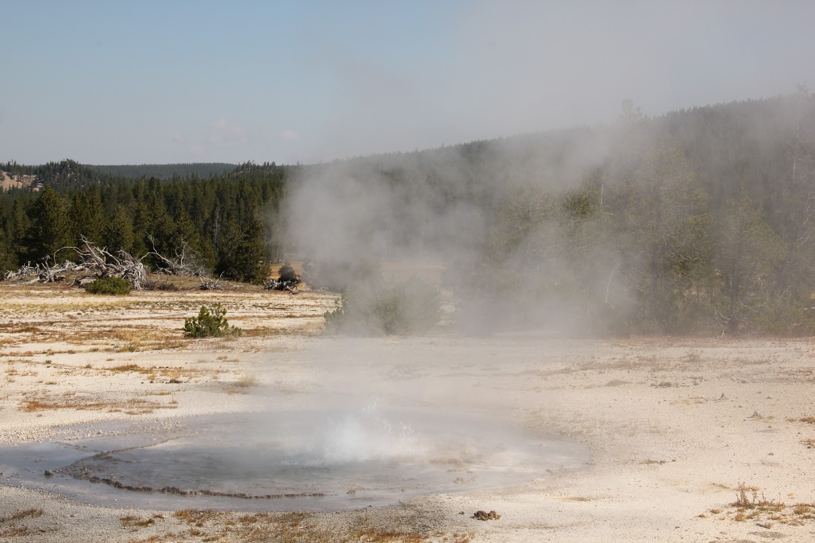 Der Weg ist das Ziel: Yellowstone Nationalpark, Madison