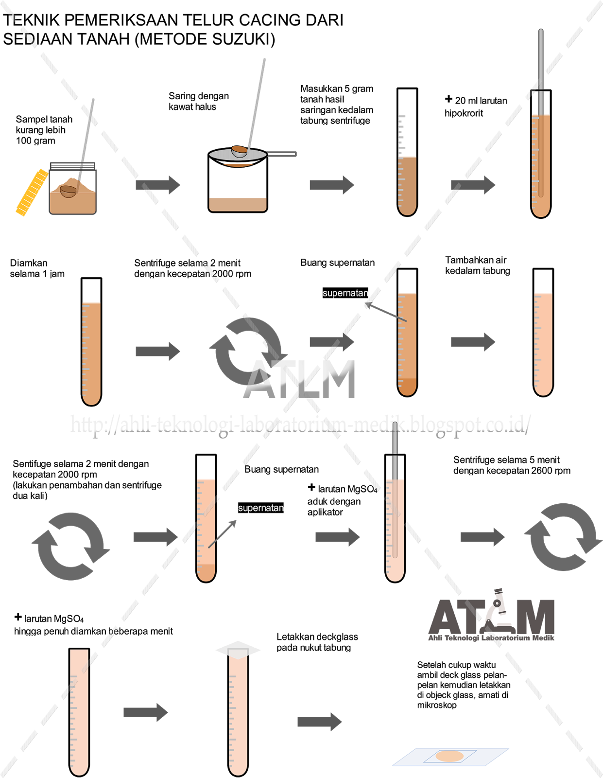 Pemeriksaan Telur Cacing dari Sampel Tanah Metode Suzuki — Online Text Book ATLM