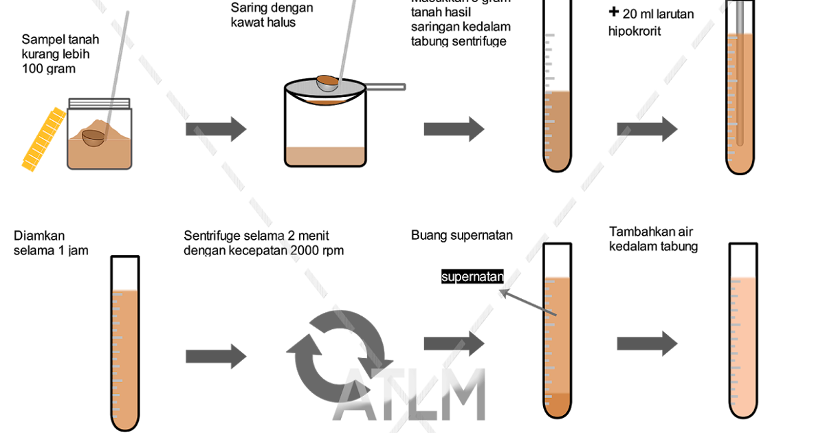 Pemeriksaan Telur Cacing dari Sampel Tanah Metode Suzuki — ATLM