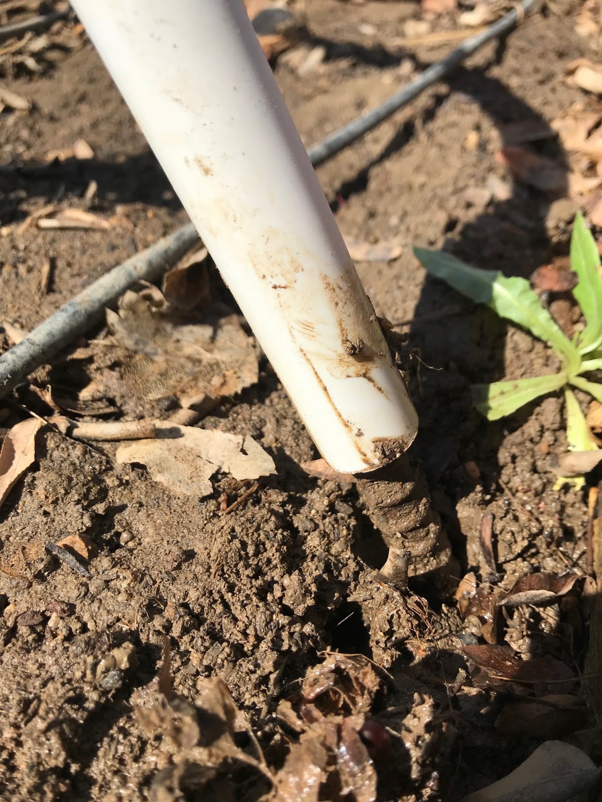 CO-Horts: Low Tunnels- Another Option for Season Extension for Backyard ...