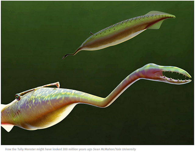 Geology in the West Country: Tully monster - mystery solved