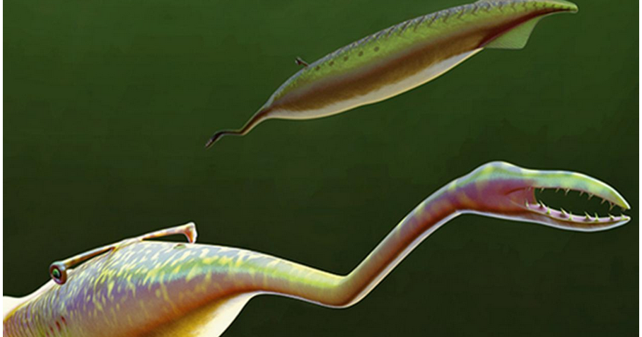 Geology in the West Country: Tully monster - mystery solved
