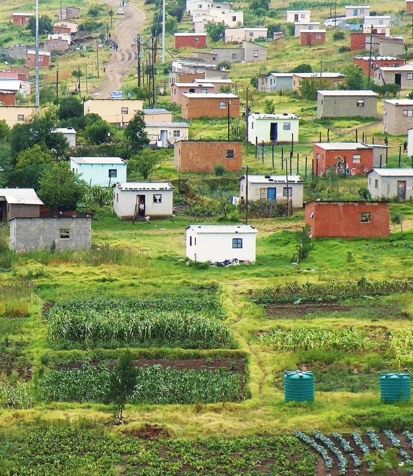 Go with Henry: The outback of South Africa - Libode in the Transkei