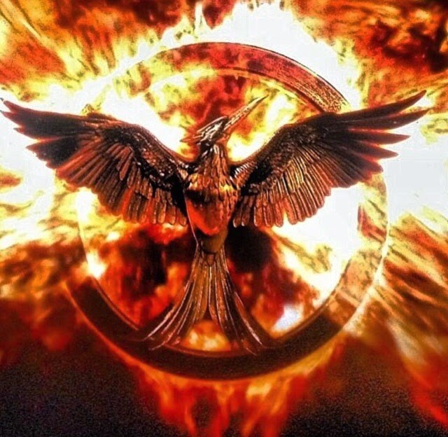 Mockingjay Bird On Fire