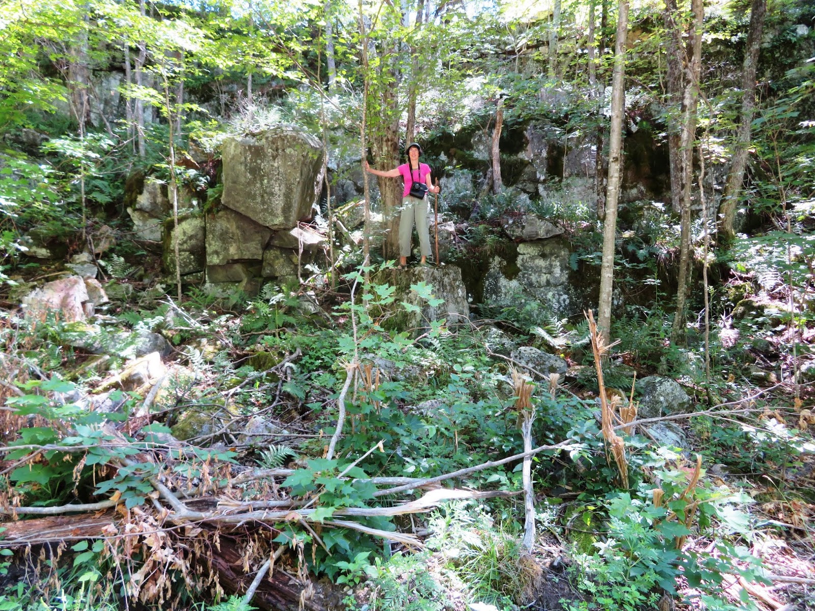 Singer Castle Blog & More: Hiking Lonesome Bay State Forest