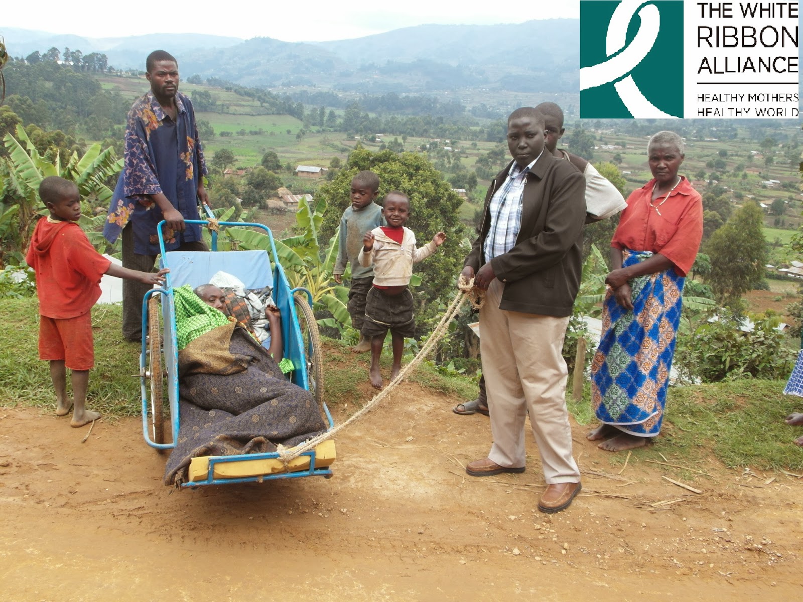 Contribution Towards Improving Maternal and Newborn Health in Uganda ...