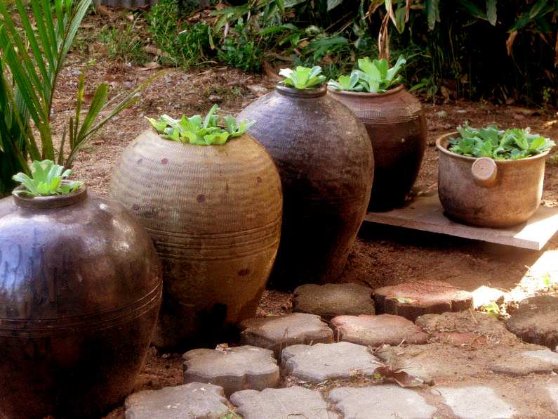 FCU HOMESCHOOLING JOURNEY: KARI IKAN KEMBUNG MEMPELAM MUDA