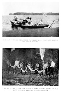 From Stillwater: Thirty Years in the Jungle -Chs 12-14