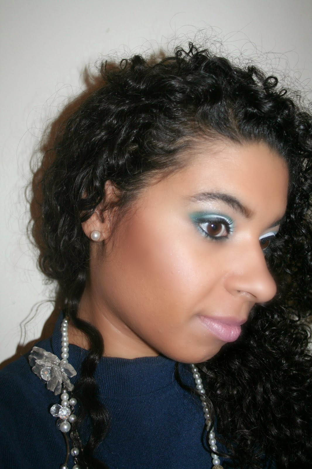 Silky Skin Makeup Professional - Blush - Makeup Moz