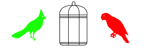 Bird In A Cage Optical Illusion | New Optical Illusion | Hidden Jesus ...