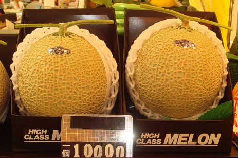 Green Horizon: Expensive Rockmelons