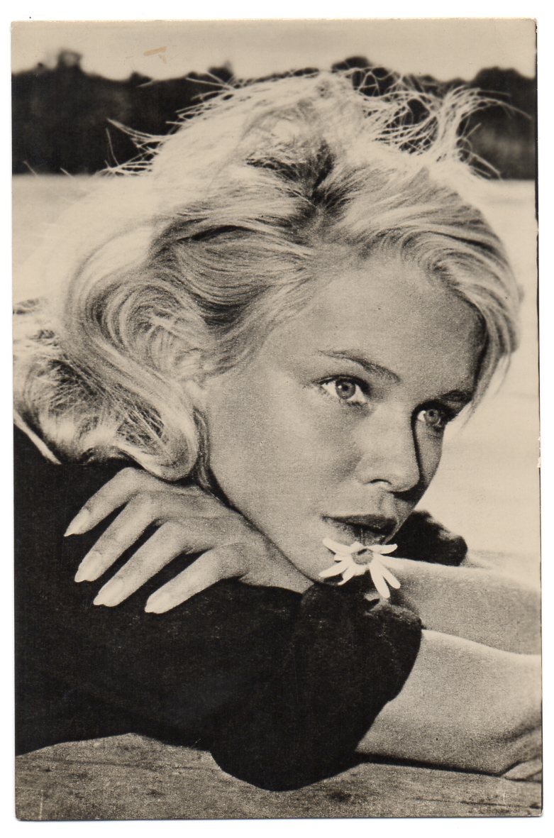 Slice of Cheesecake: Marion Michael, pictorial