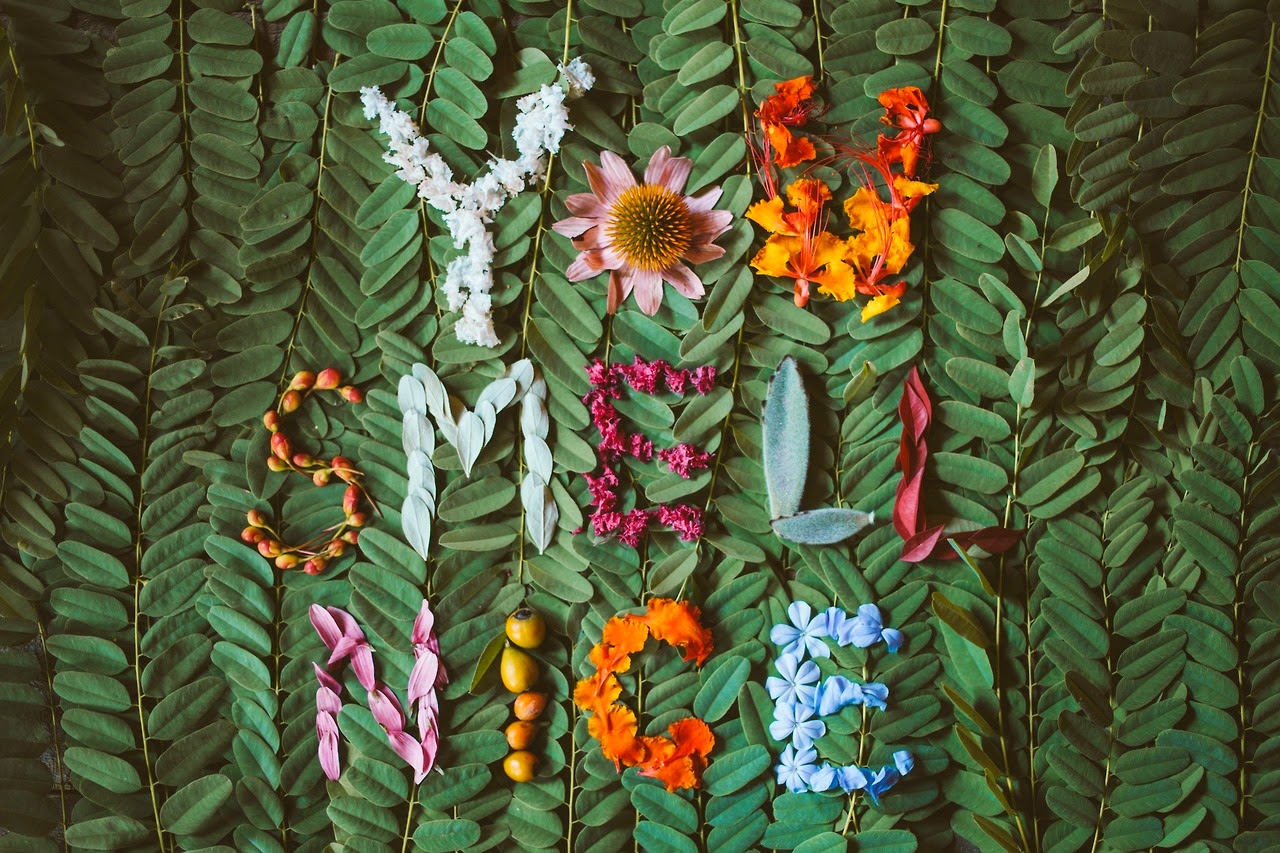 Emily Blincoe | CURIOSITE