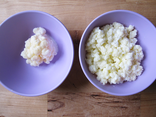 CienciaySalud: Es bueno el yogurt de Bulgaros/Kefir?