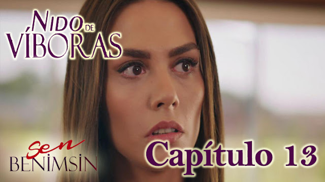 Nido de Víboras - Capítulo 13 - Nido de viboras