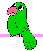 Animation Bundle: Animated Parrots Chirping About Parrot Gif and Parrot ...
