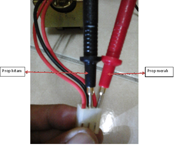 wayar live merah atau hitam - LucianataroPerry