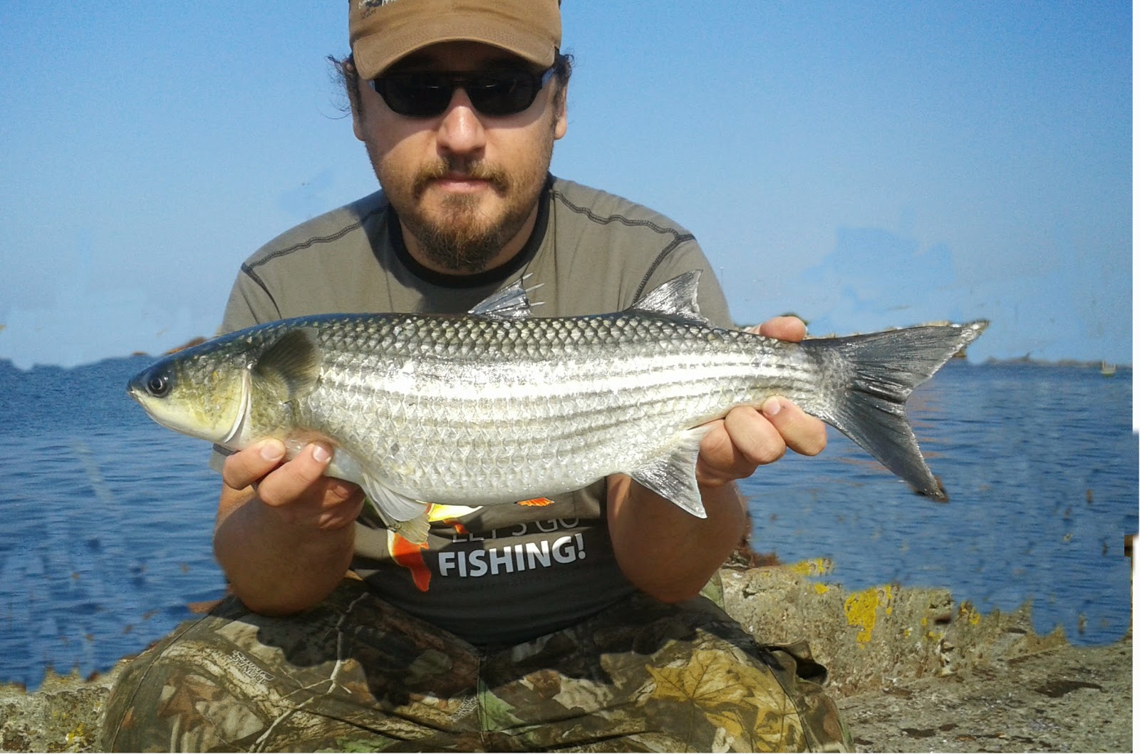 Tobbes fiske: Multe på kusten, sensommaren funkar...