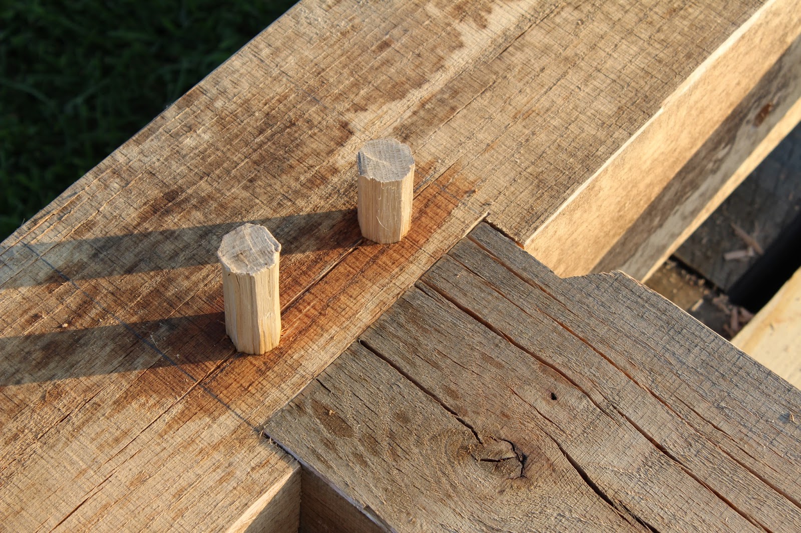Around the Shop: Tree Nails